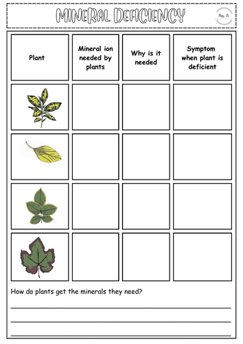 Mineral Deficiency in Plants KS3 Worksheet | Teaching Resources