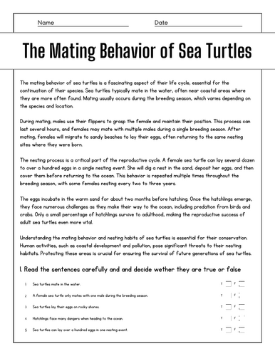 The Mating Behavior of Sea Turtles: Reading Comprehension Passages ...
