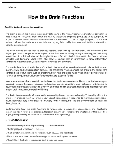 How the Brain Functions Reading Comprehension Passages & Questions ...