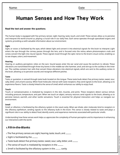 Human Senses and How They Work Reading Comprehension Passages ...