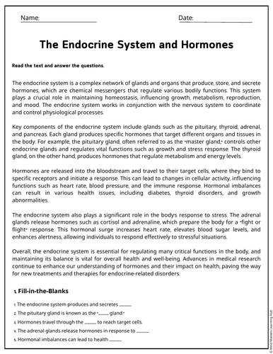 The Endocrine System and Hormones Reading Comprehension Passages ...