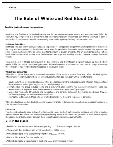 The Role of White and Red Blood Cells Reading Comprehension Passages ...