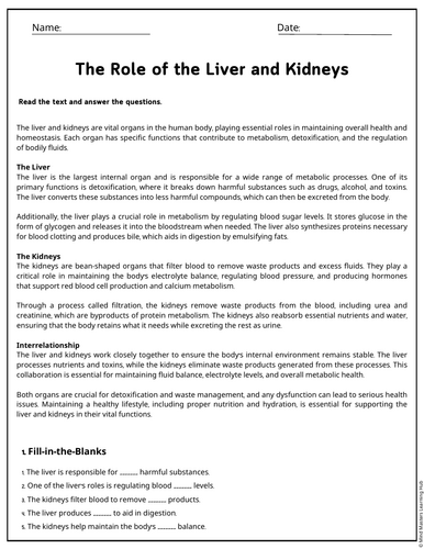 The Role of the Liver and Kidneys Reading Comprehension Passages ...