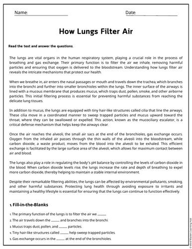 How Lungs Filter Air Reading Comprehension Passages & Questions ...