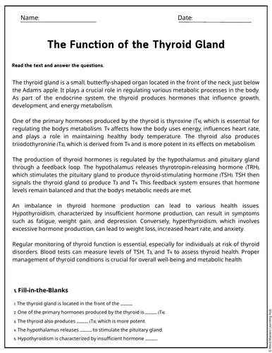 The Function of the Thyroid Gland Reading Comprehension Passages ...