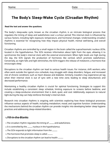 The Body’s Sleep-Wake Cycle (Circadian Rhythm) Reading Comprehension ...