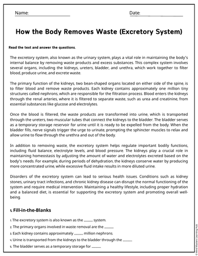 How the Body Removes Waste (Excretory System) Reading Comprehension ...