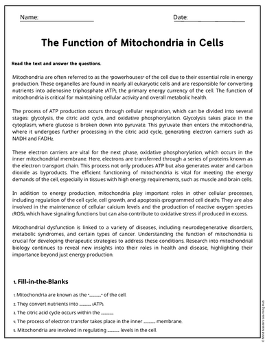 The Function of Mitochondria in Cells Reading Comprehension Passages ...
