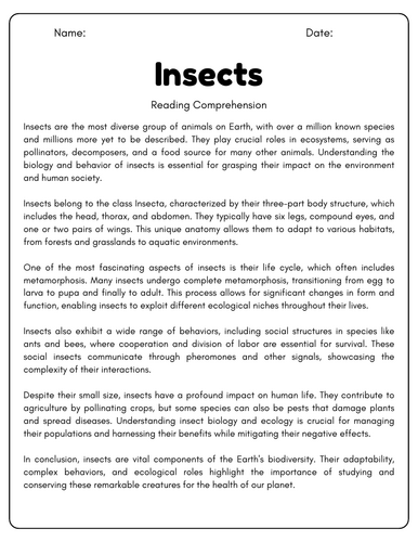 Insects: Reading Comprehension Passages & Questions Worksheets ...