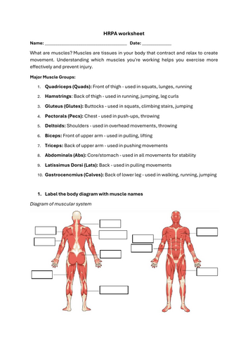 Health Related Activity Worksheets | Teaching Resources