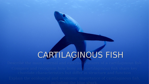 Classification & Biodiversity, IAL Marine Science, Cambridge CIE 9693 ...