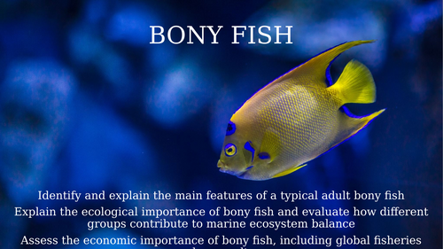 Classification & Biodiversity, IAL Marine Science, Cambridge CIE 9693 ...