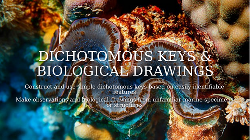 Classification & Biodiversity, IAL Marine Science, Cambridge CIE 9693 ...