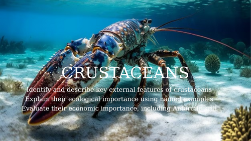 Classification & Biodiversity, IAL Marine Science, Cambridge CIE 9693 ...