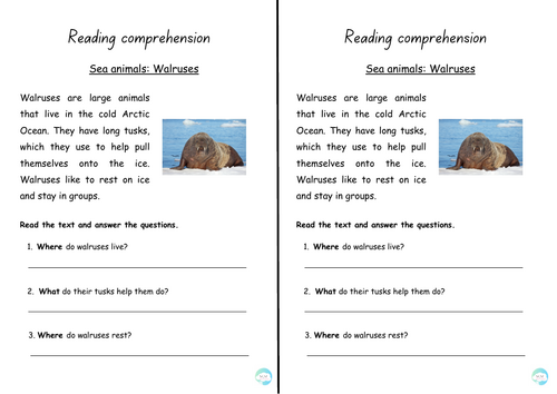 Polar Regions Animals – KS1 Reading Comprehension Pack | Teaching Resources