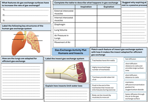 Gas Exchange A Level Biology Revision Notes and Activity Mats ...