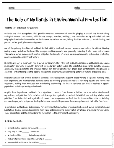 The Role of Wetlands in Environmental Protection Reading Comprehension ...