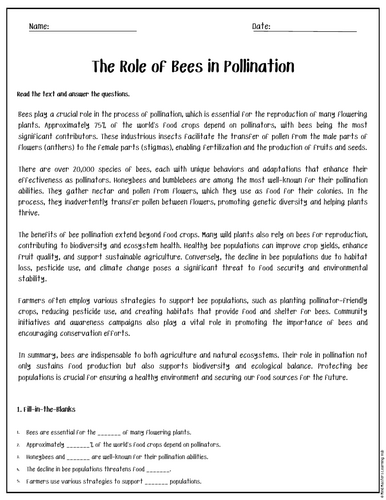 The Role of Bees in Pollination Reading Comprehension Passages ...
