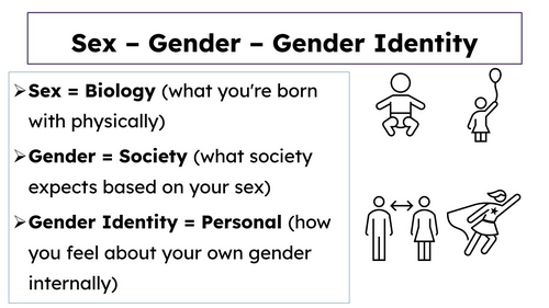 Sex and Gender: 1.16 GCSE Sociology AQA - Unit 1 | Teaching Resources