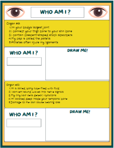 Organ Detective: "Who Am I?" Human Body Game | Interactive Anatomy ...
