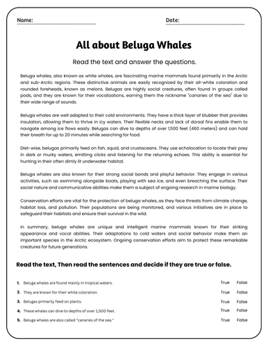 All About Whales Reading Comprehension Passages & Questions Worksheets ...