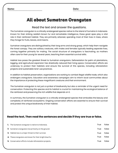 All About Sumatran Orangutans Reading Comprehension Passages ...