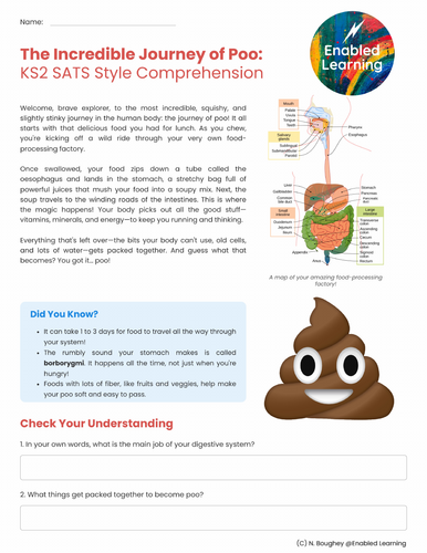 KS2 Year 6 SATS Style Comprehension Practice - All about Poo | Teaching ...