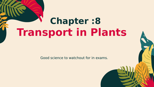 Transport in Plants [IGCSE Biology 0610] | Teaching Resources