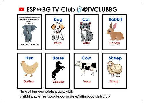 English spanish flashcards vocabulary | Teaching Resources