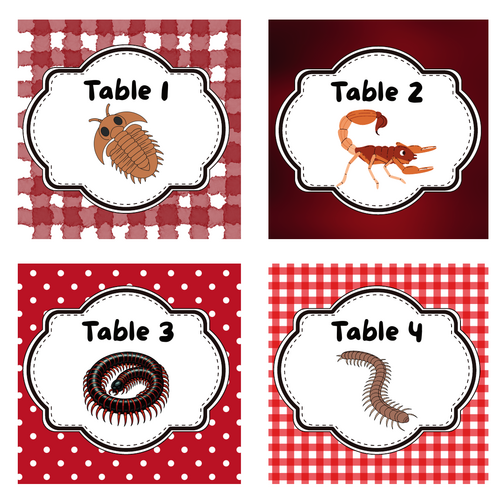 Arthropods Table Numbers | Science-Themed Printable Classroom Decor for ...