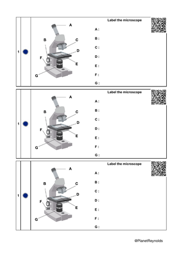 AQA GCSE Biology B1.2 – Animal and Plant Cells | Full Lesson ...