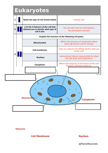 AQA GCSE Biology B1.3 – Eukaryotic and Prokaryotic Cells | Full Lesson ...