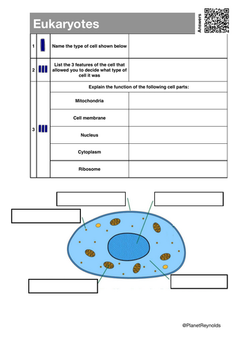 AQA GCSE Biology B1.3 – Eukaryotic and Prokaryotic Cells | Full Lesson ...