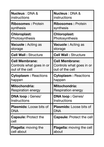 AQA GCSE Biology B1.3 – Eukaryotic and Prokaryotic Cells | Full Lesson ...