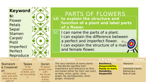 Parts of a Flower Complete Lesson | Teaching Resources