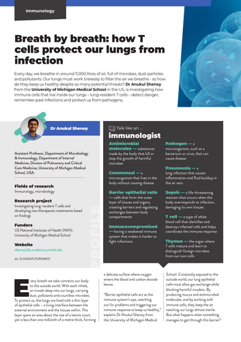 KS4 & 5 Biology: How does our immune system protect our lungs from ...