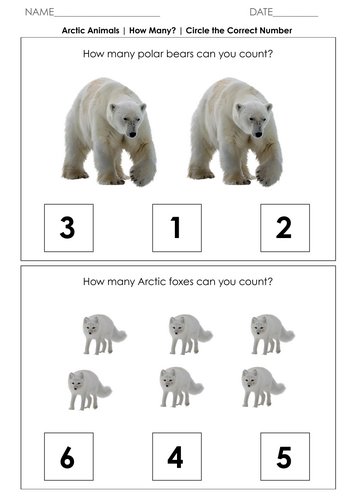 Arctic Animals Counting Worksheets Circle the Correct Number Real ...