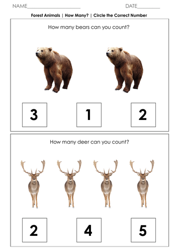 Forest Animals Counting Worksheets Real Photos Preschool and Special ...