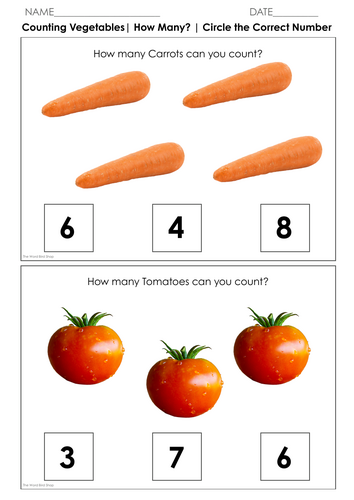 Vegetables Counting Worksheets Real Photos Preschool and Special ...