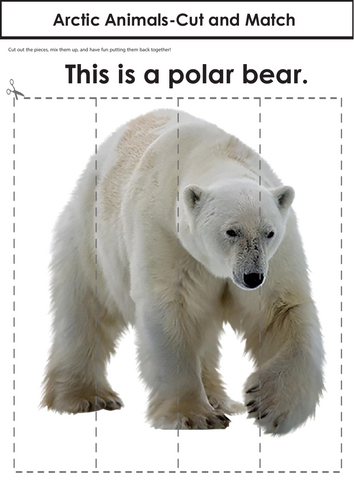 Arctic Animals Cut and Match – Real Photo Activity | Speech Therapy ...