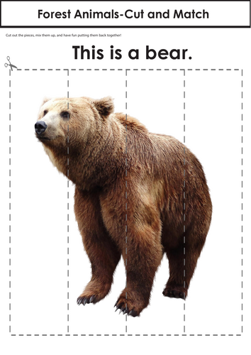 Forest Animals Cut and Match – Speech Therapy, ESL, Early Learning ...