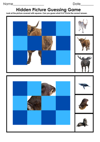 Arctic Animals Hidden Picture Guessing Game | 10 Pages | Teaching Resources