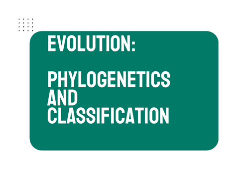 AP Biology: Phylogenetics and Classification Exam Practice | Teaching ...
