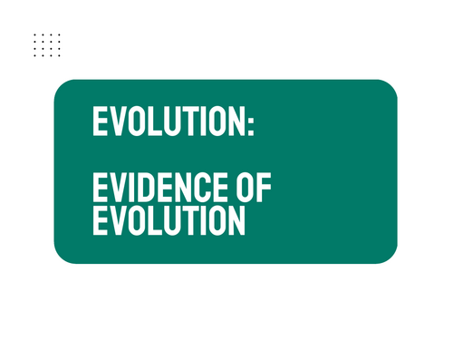 AP Biology: Evidence for Evolution Exam Practice | Teaching Resources