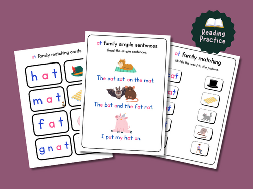 at Word Family Activity Pack | Teaching Resources