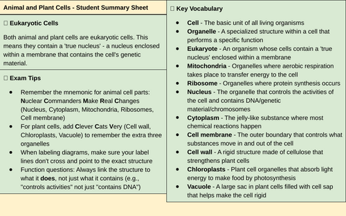 B1 AQA Trilogy Eukaryotic Cells Summary Sheet | Teaching Resources