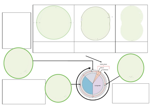 AQA GCSE Biology B2.1 – Cell Division (Mitosis) | Full Lesson ...