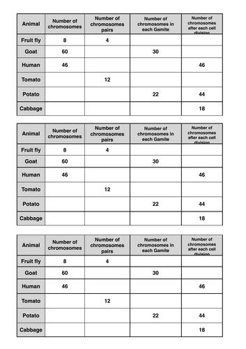 AQA GCSE Biology B2.1 – Cell Division (Mitosis) | Full Lesson ...