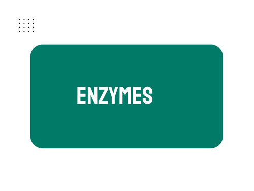 AP Biology: Enzymes and Metabolism Exam Practice | Teaching Resources