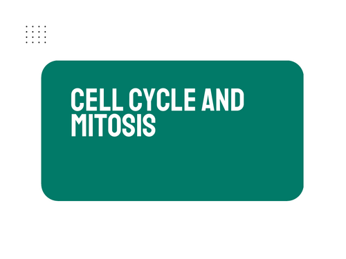 AP Biology: Cell Cycle and Mitosis Exam Practice | Teaching Resources